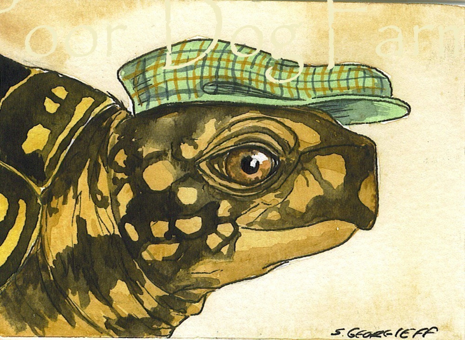 Another turtle in a hat | Etsy