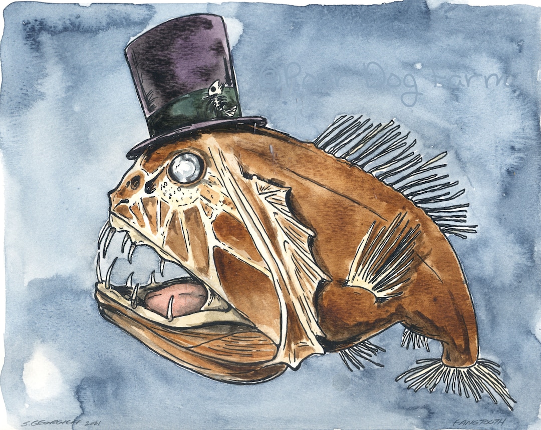 A Handsome Fangtooth Fish (an Original Hand Painted King) - Etsy