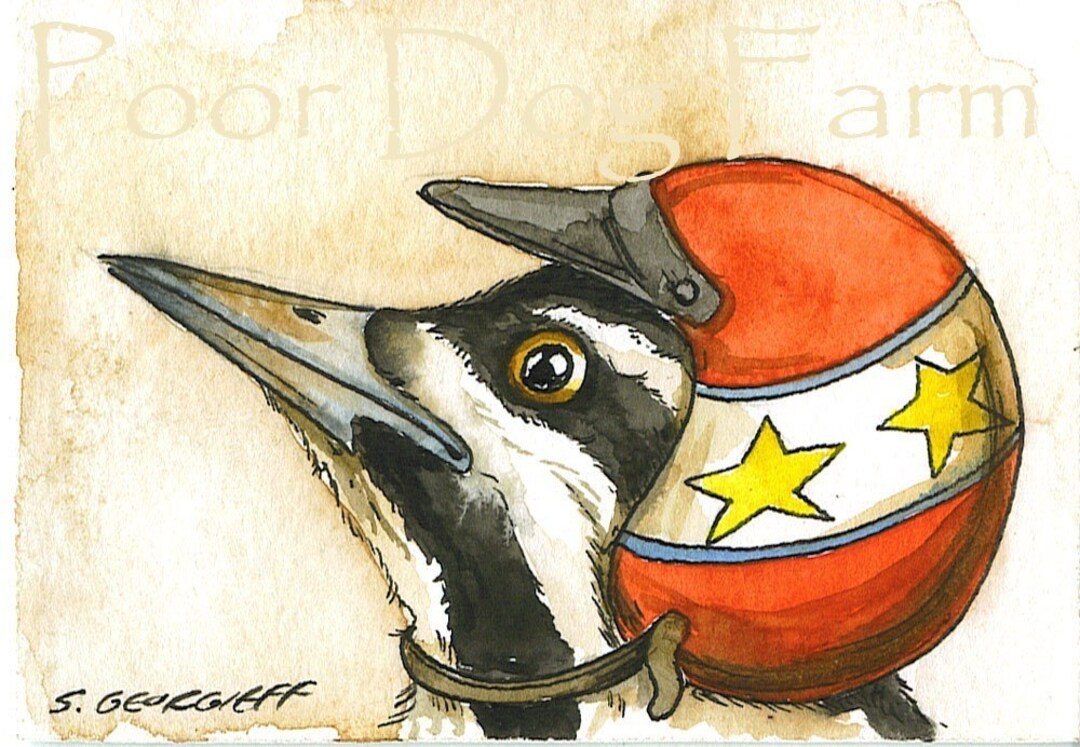 Woodpecker Biker Gang - Etsy