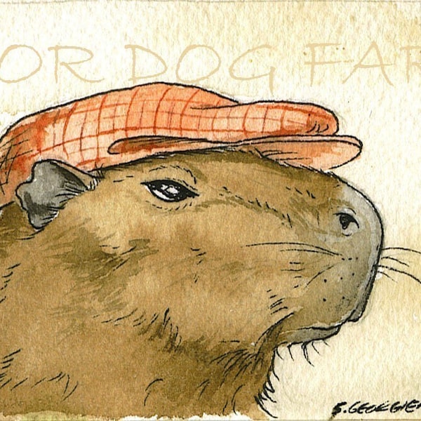Capybara in Hats - Etsy