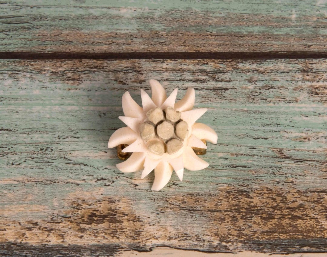 Vintage Edelweiss Flower Brooch, Mid Century Jewelry, Celluloid - Etsy