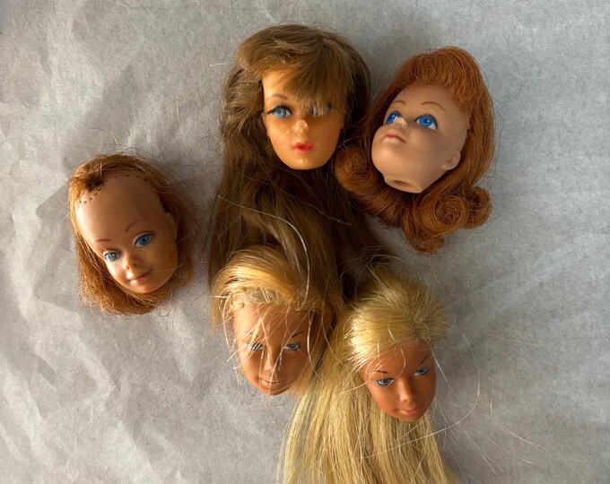 Nose Nips, Necks Splits, & Haircuts, Oh My! TLC Lot of Heads. for ...