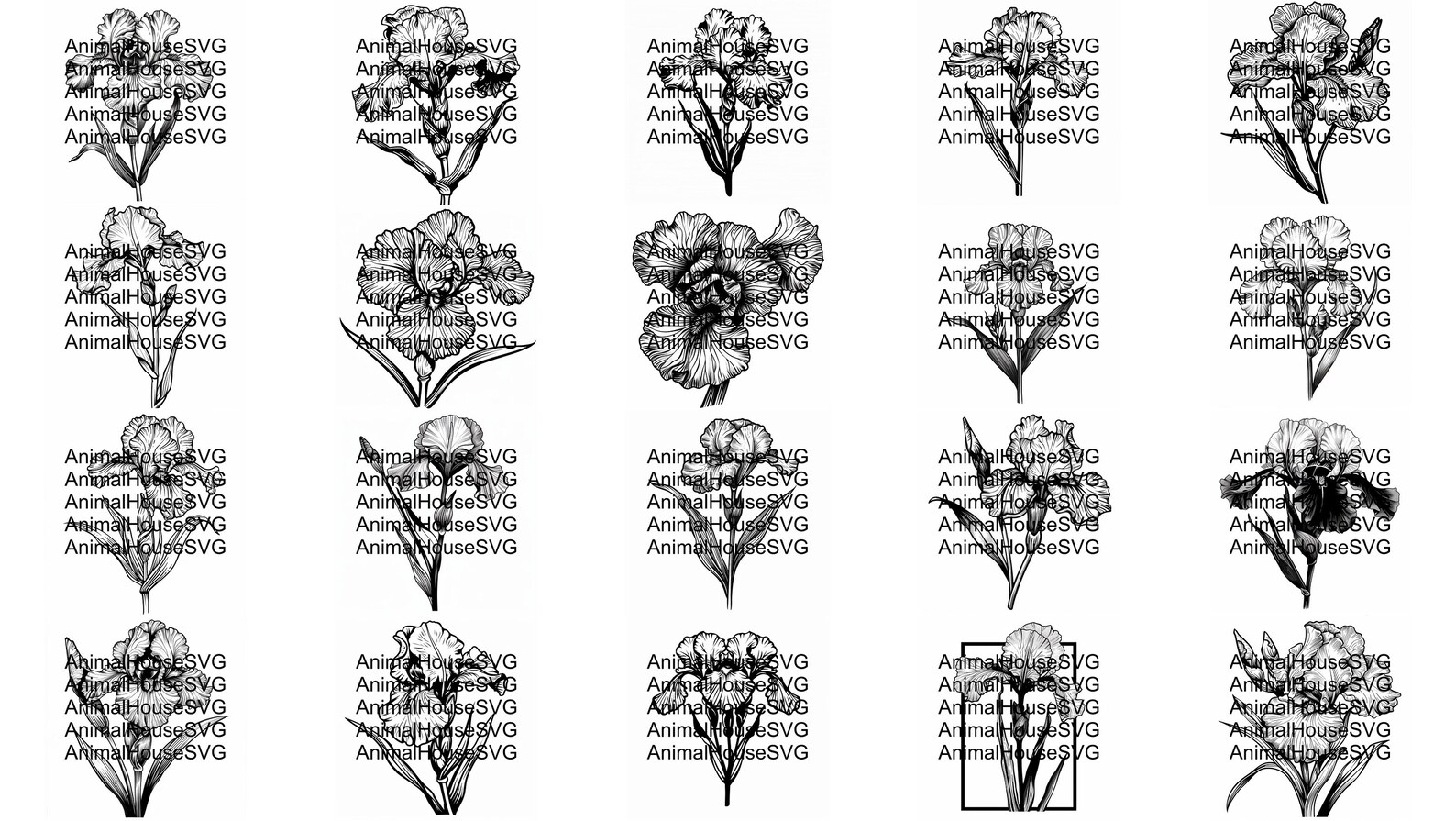 Iris Flower SVG Pack: 86 Unique Designs (digital Download) - Etsy