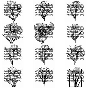 Iris Flower SVG Pack: 86 Unique Designs (digital Download) - Etsy