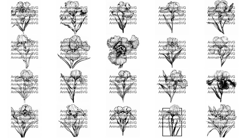Iris Flower SVG Pack: 86 Unique Designs (digital Download) - Etsy