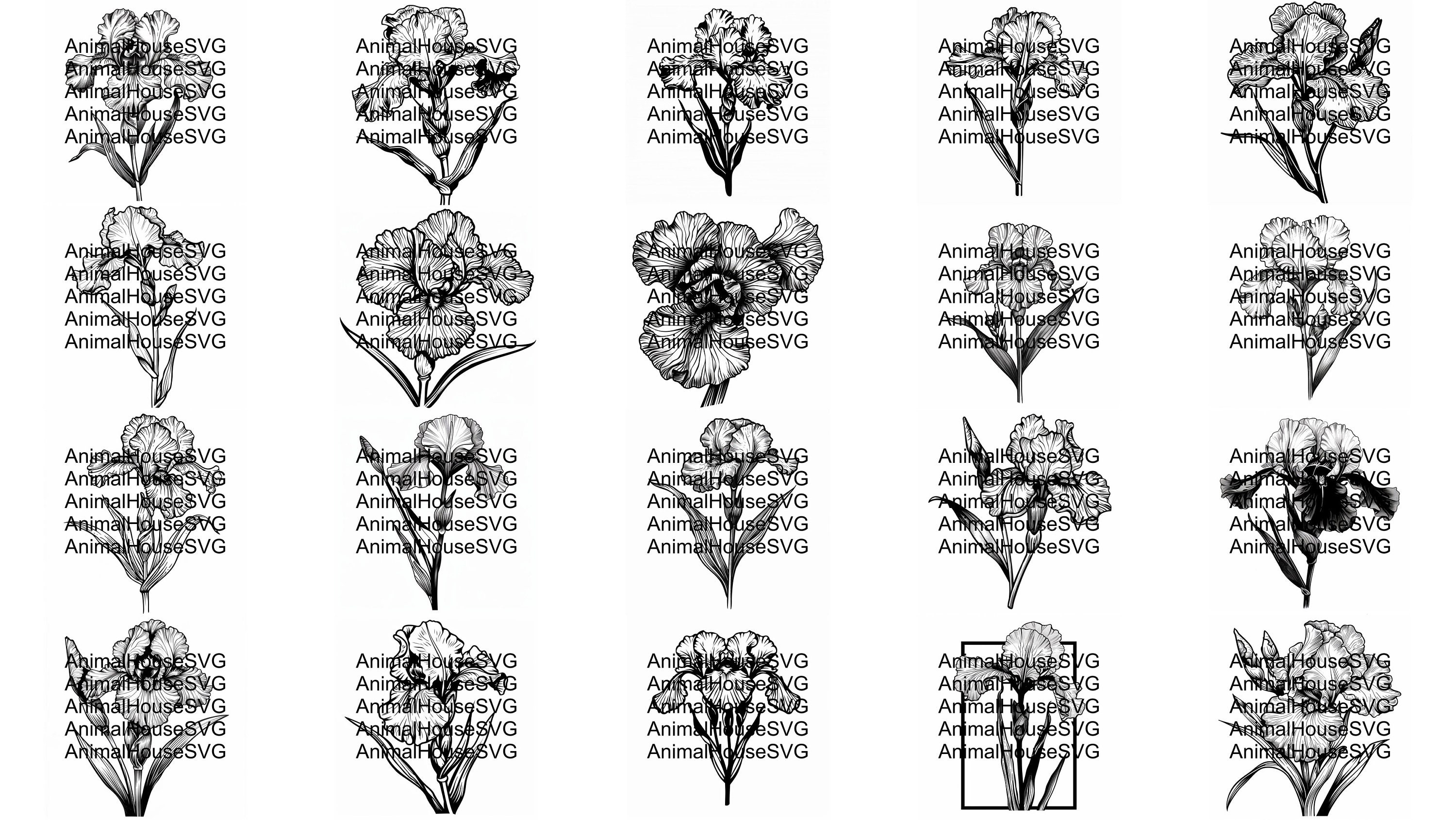 Iris Flower SVG Pack: 86 Unique Designs (digital Download) - Etsy