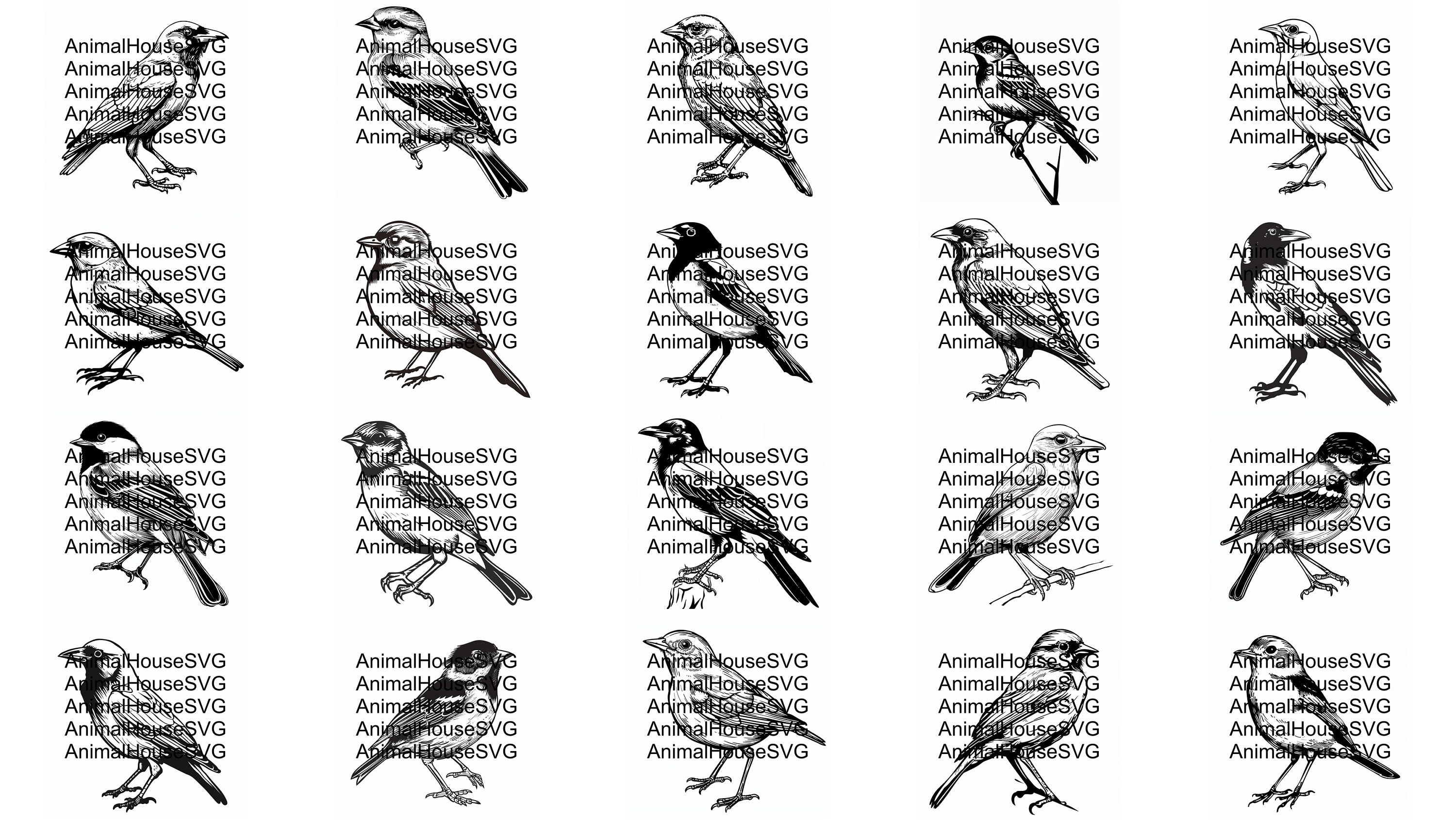 Bird SVG Pack 100+ Unique Designs. SVG, JPG, Cricut Svg, Cnc, Lasercut ...