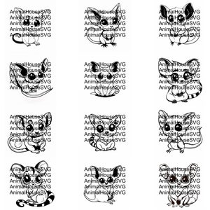 Cute Sugar Glider SVG Pack 112 Designs. Cute Sugar Glider SVG, Cute ...