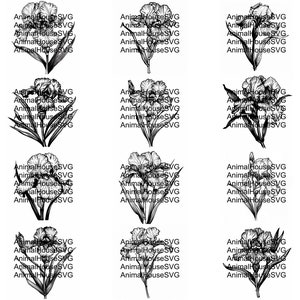 Iris Flower SVG Pack: 86 Unique Designs (digital Download) - Etsy