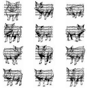 Pig SVG Pack 100+ Unique Designs. SVG, JPG, Cricut Svg, Cnc, Lasercut ...