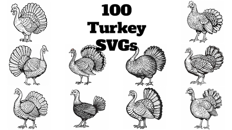 100 Turkey SVG Designs: Thanksgiving Crafting Bundle (digital Download ...
