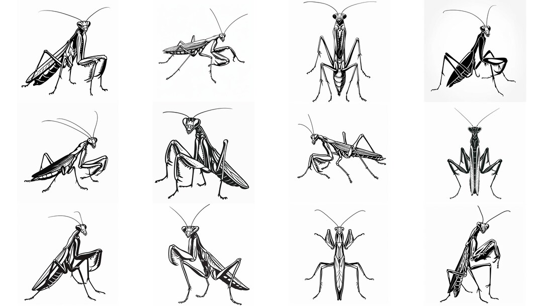 Praying Mantis SVG Bundle: 100 Insect Art Designs (digital Download) - Etsy