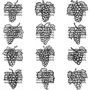 Grape SVG Pack 100 Designs. Grape SVG, Grape, Cricut SVG, Fruit ...
