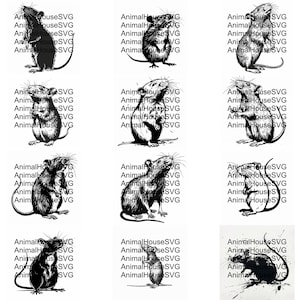 Rat SVG Bundle: 104 Unique Designs for Cricut, CNC (digital Download ...