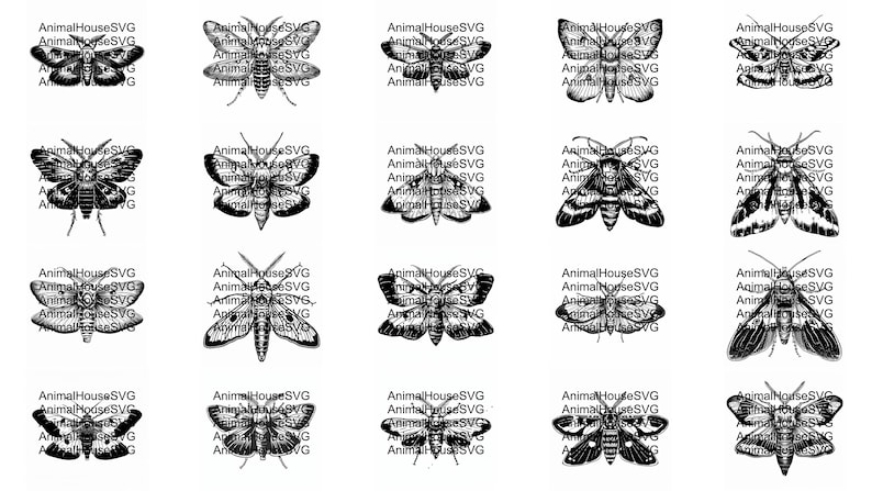 Moth SVG Bundle: 108 Insect Designs (digital Download) - Etsy