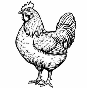 Chicken SVG Bundle: 104 Unique Designs (digital Download) - Etsy