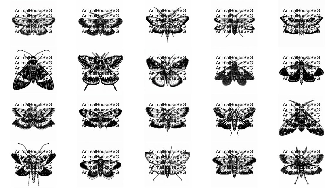 Moth SVG Bundle: 108 Insect Designs (digital Download) - Etsy