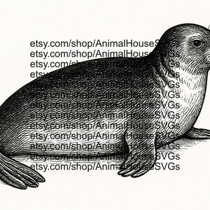 Ross Seal SVG Bundle: 30 Laser Cut Designs for Cricut, CNC - Etsy