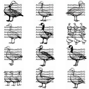 Geese SVG Bundle: 104 Unique Designs (digital Download) - Etsy