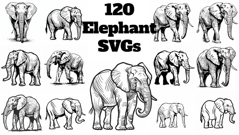 Elephant SVG Pack: 120 Unique Designs (digital Download) - Etsy