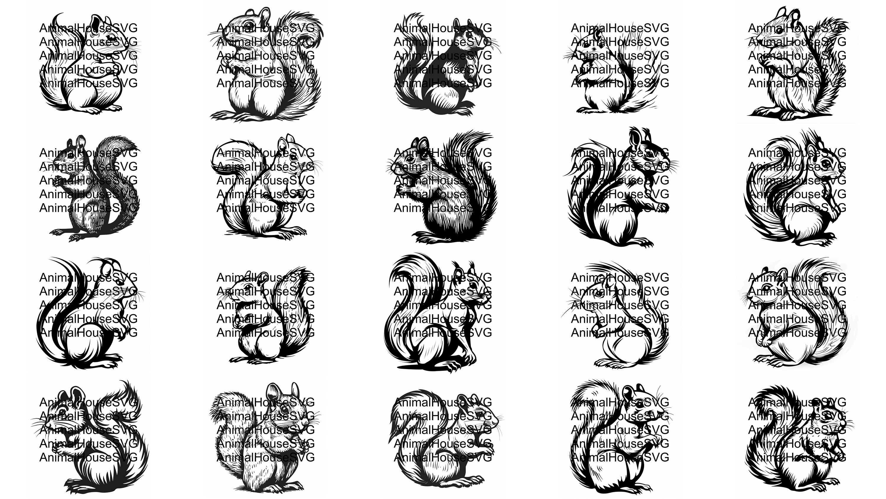 Squirrel SVG Bundle: 108 Unique Designs (digital Download) - Etsy
