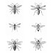 Wasp SVG Bundle: 103 Insect Designs (digital Download) - Etsy