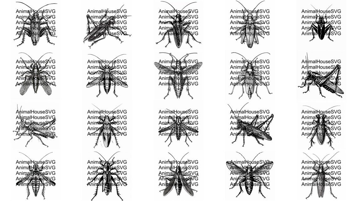 Cricket SVG Pack: 92 Unique Insect Designs (digital Download) - Etsy
