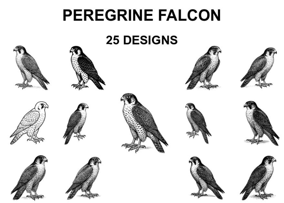 Peregrine Falcon SVG Bundle – 25 Laser Cut Files | CNC, Cricut ...