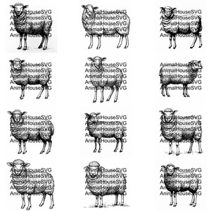 Sheep SVG Bundle: 106 Unique Designs for Cricut, CNC (digital Download ...