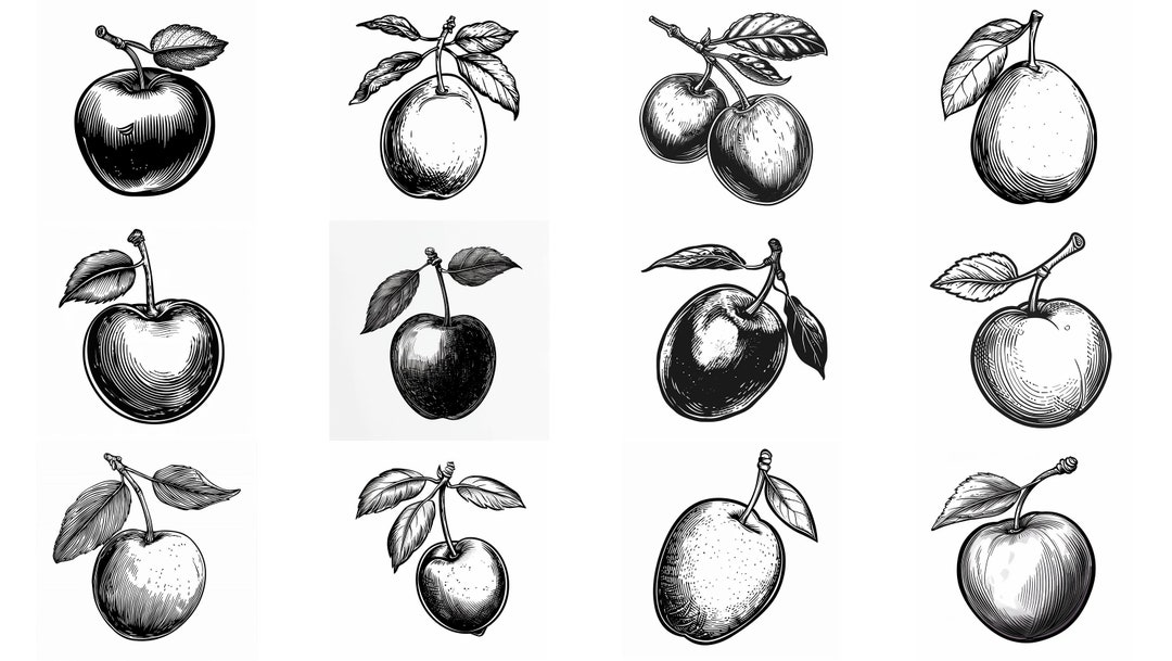 Plum SVG Pack 124 Designs. Plum SVG, Plum, Cricut SVG, Fruit, Lasercut ...