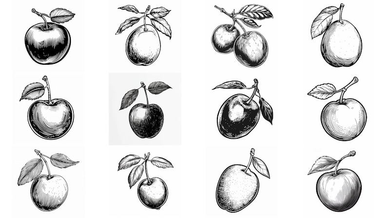 Plum SVG Pack 124 Designs. Plum SVG, Plum, Cricut SVG, Fruit, Lasercut ...