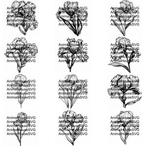 Iris Flower SVG Pack: 86 Unique Designs (digital Download) - Etsy
