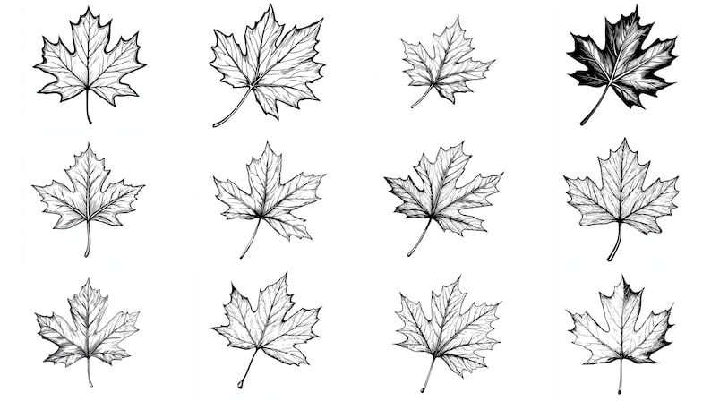 Maple Leaf SVG Pack 120 Designs. Maple Leaf SVG, Maple Leaf PNG, Laser ...