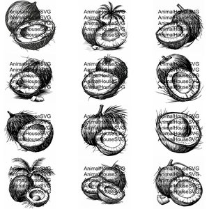 Coconut SVG Pack: 144 Fruit Designs for Cricut & Laser Cutting (digital ...