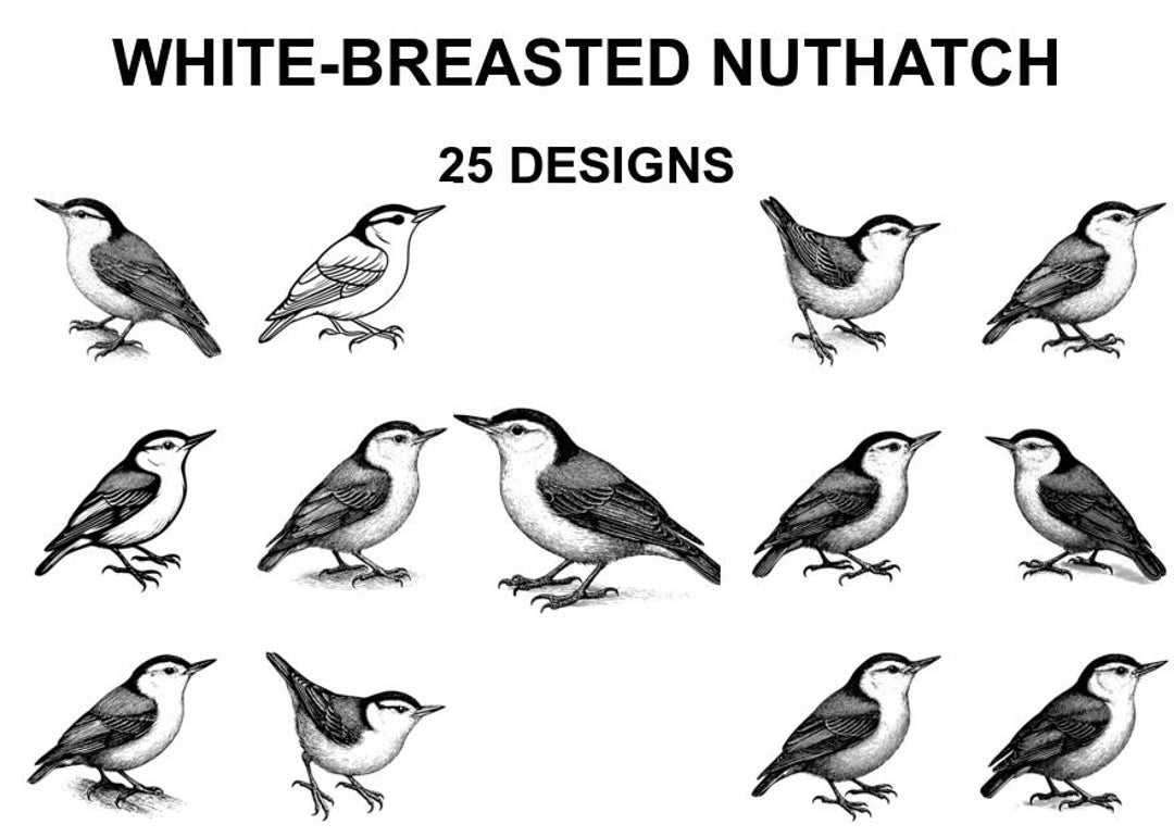 White-breasted Nuthatch Bird SVG Bundle – 25 Laser Cut Files | CNC ...