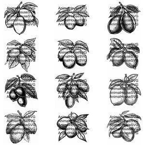 Mango SVG Pack: 124 Fruit Designs (digital Download) - Etsy