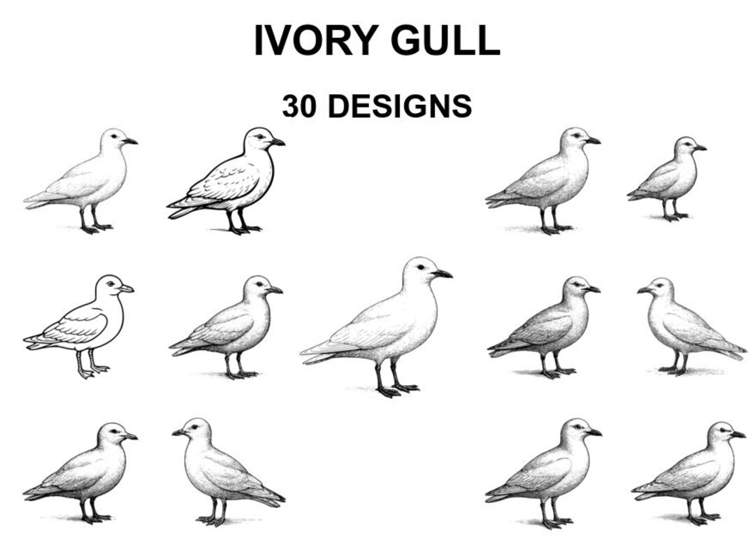Ivory Gull SVG Bundle: 30 Laser Cut Designs for Cricut, CNC ...