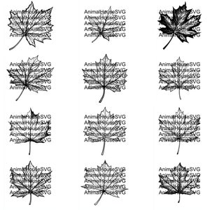 Maple Leaf SVG Pack 120 Designs. Maple Leaf SVG, Maple Leaf PNG, Laser ...