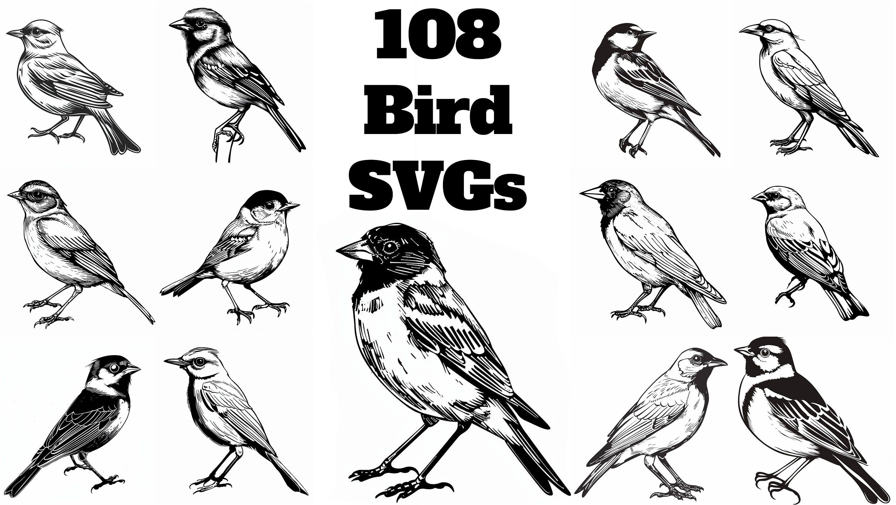Bird SVG Bundle: 108 Unique Designs (digital Download) - Etsy Canada