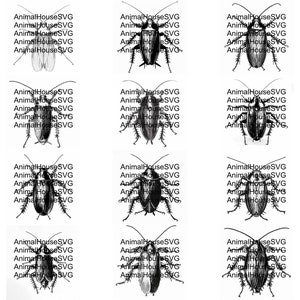 92 Cockroach SVG & PNG Designs: Insect Art Bundle (digital Download) - Etsy