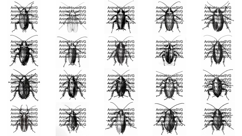 92 Cockroach SVG & PNG Designs: Insect Art Bundle (digital Download) - Etsy