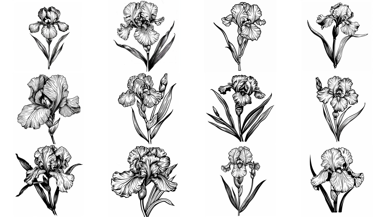 Iris Flower SVG Pack: 86 Unique Designs (digital Download) - Etsy