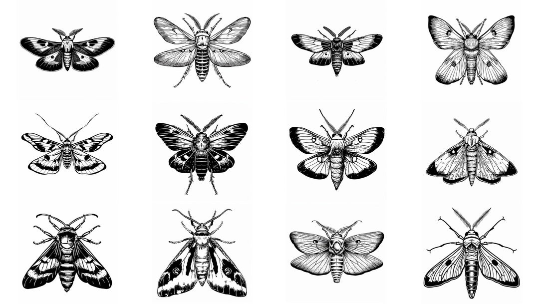 Moth SVG Pack 108 Unique Designs. Moth SVG, Moth JPG, Moth Lasercut ...