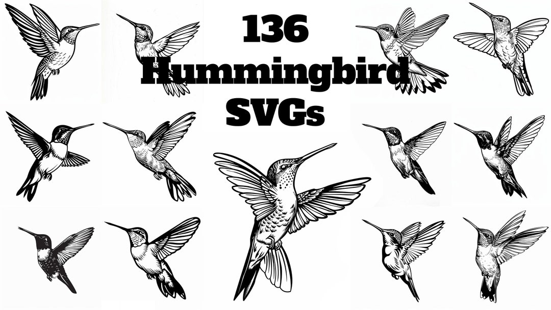 Hummingbird SVG Bundle: 136 Unique Designs (digital Download) - Etsy