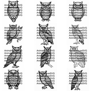 Owl SVG Bundle: 112 Unique Designs for Cricut, CNC (digital Download ...