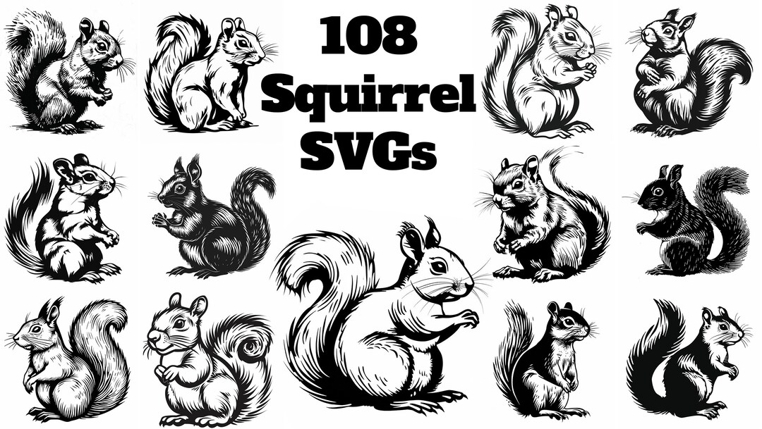 Squirrel SVG Bundle: 108 Unique Designs (digital Download) - Etsy