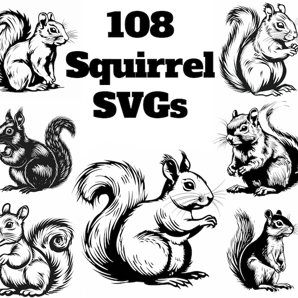 Squirrel Svg - Etsy