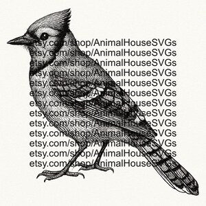 Blue Jay SVG Bundle: 25 Laser Cut Designs for Cricut, CNC, Sublimation ...