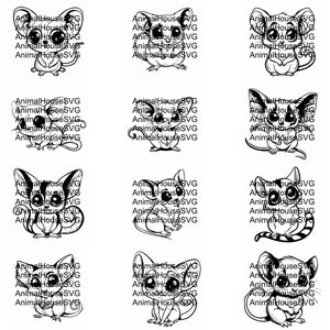 Cute Sugar Glider SVG Pack 112 Designs. Cute Sugar Glider SVG, Cute ...
