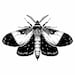 Moth SVG Bundle: 108 Insect Designs (digital Download) - Etsy